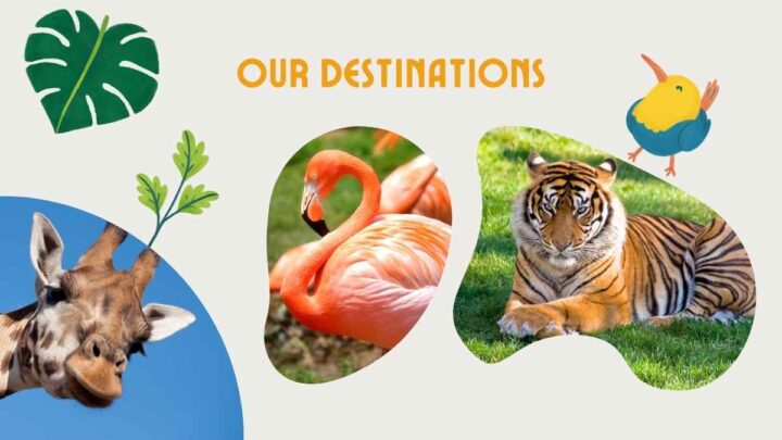 Illustrated Zoo Field Trip. Free Presentation Template — SlidesCarnival