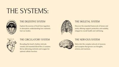 Human Body Systems Lesson for Middle School. Free PPT & Google Slides ...