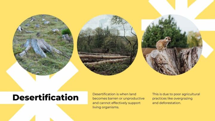 Human Impact on the Environment for College. Free PPT & Google Slides ...