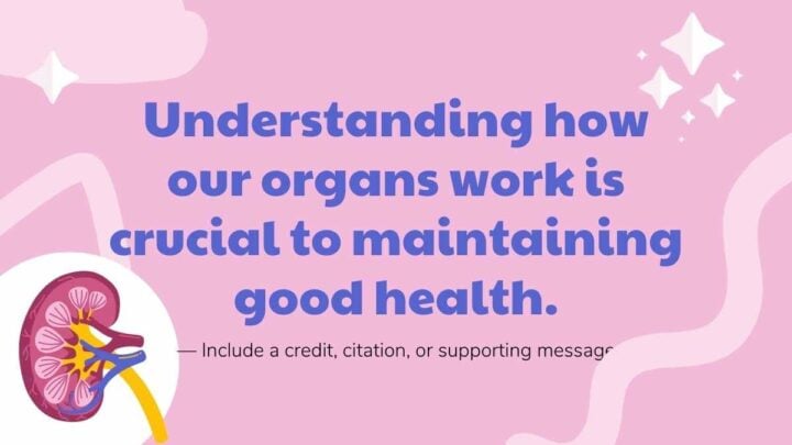 Illustrated Anatomy Lesson Human Organs. Free PPT & Google Slides ...