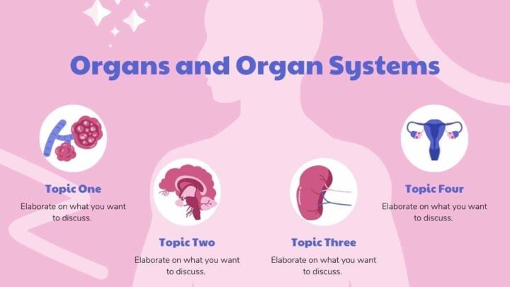 Illustrated Anatomy Lesson Human Organs. Free PPT & Google Slides ...