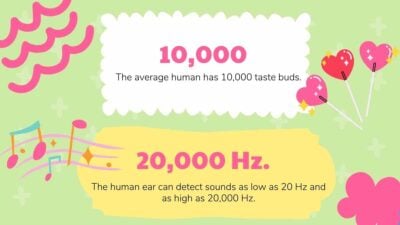 Illustrated Biology Five Senses. Free PPT & Google Slides Template ...