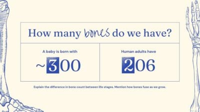 Bones. Free PPT & Google Slides Template — SlidesCarnival