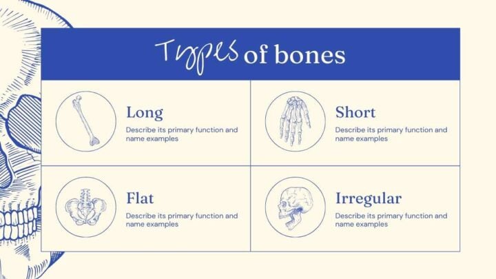 Bones. Free PPT & Google Slides Template — SlidesCarnival
