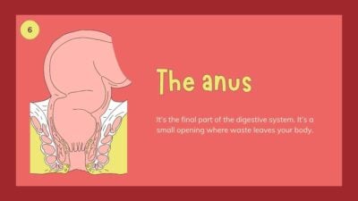 Digestive System Slides for Grade 4. Free Lesson Template — SlidesCarnival