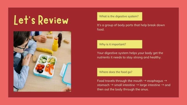 Digestive System Slides for Grade 4. Free Lesson Template — SlidesCarnival