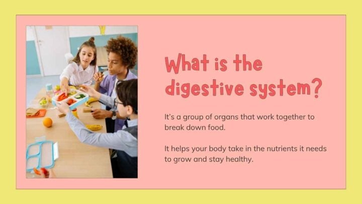 Digestive System Slides for Grade 4. Free Lesson Template — SlidesCarnival