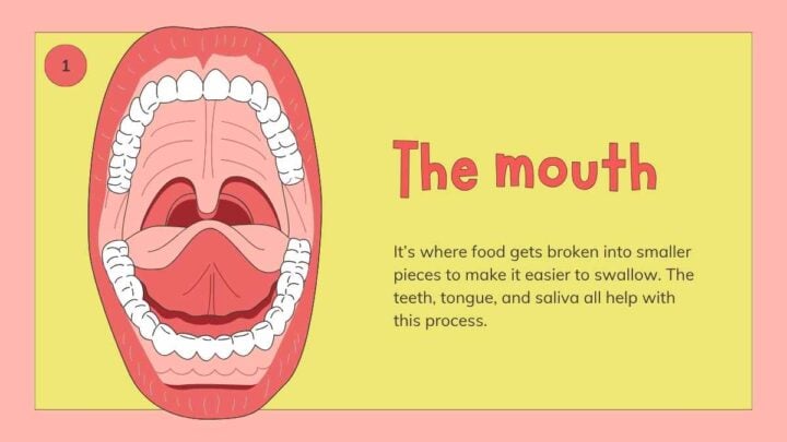 Digestive System Slides for Grade 4. Free Lesson Template — SlidesCarnival