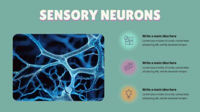 Introduction to the Nervous System. Free PPT & Google Slides Template ...