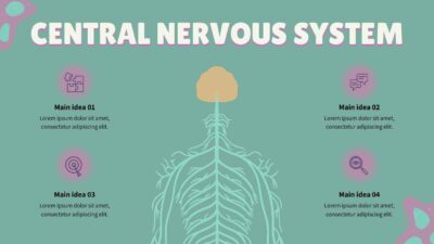 Introduction to the Nervous System. Free PPT & Google Slides Template ...
