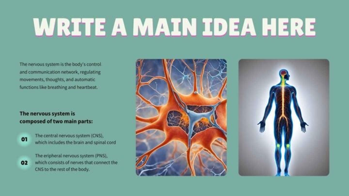Introduction to the Nervous System. Free PPT & Google Slides Template ...
