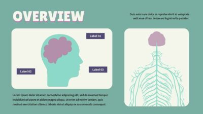 Introduction to the Nervous System. Free PPT & Google Slides Template ...