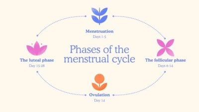 Menstrual Cycle Slides For Grade 10. Free PPT & Google Slides Template ...