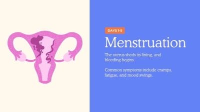 Menstrual Cycle Slides For Grade 10. Free PPT & Google Slides Template ...