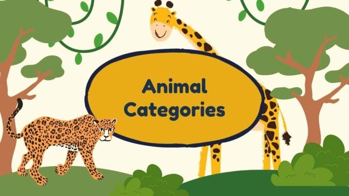 Illustrated Science Subject Animals. Free PPT & Google Slides Template ...