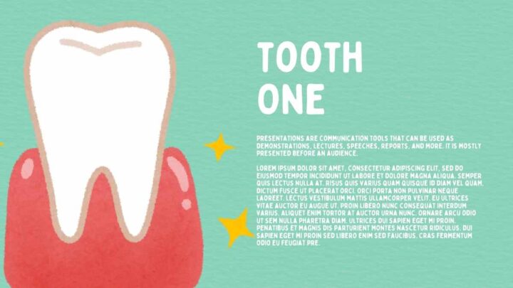 Types Of Teeth And Their Functions. Free Slides Template — SlidesCarnival