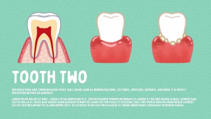 Types Of Teeth And Their Functions. Free Slides Template — SlidesCarnival