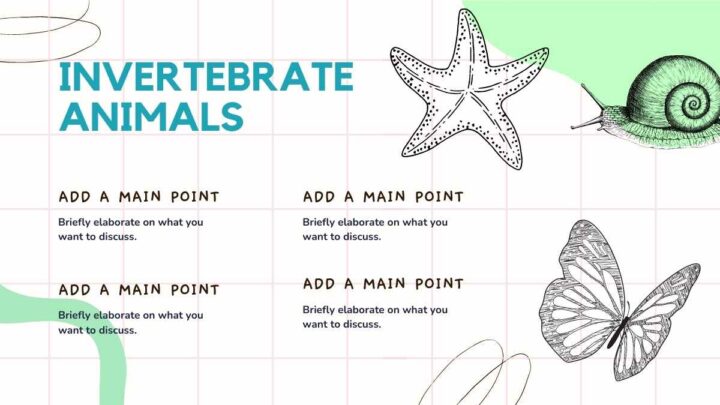 Illustrated Vertebrate And Invertebrate Animals. Free Presentation ...