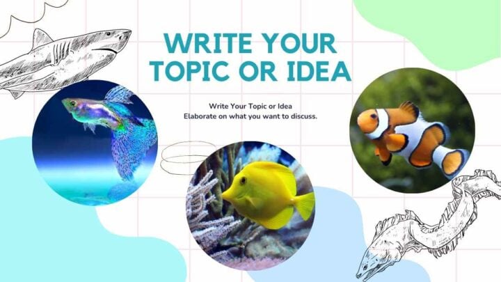 Illustrated Vertebrate And Invertebrate Animals. Free Presentation ...