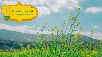 Illustrated World Environmental Education Day. Free Presentation ...