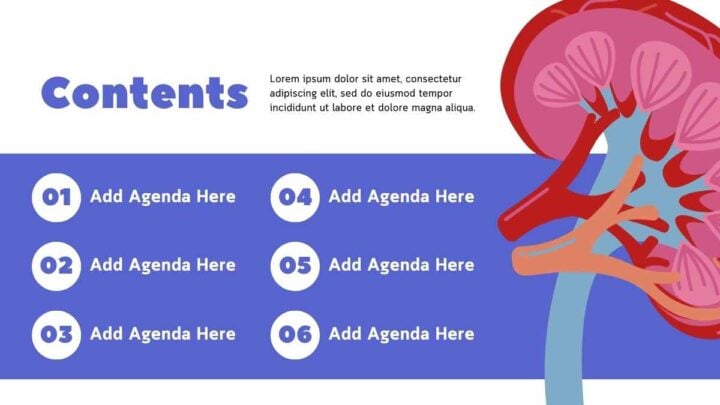 World Kidney Day. Free Presentation Template — SlidesCarnival
