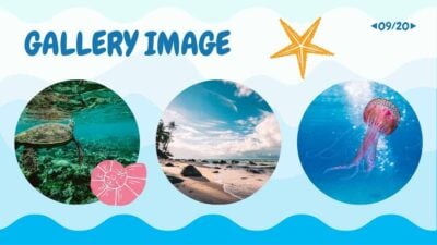 World Ocean Day at School. Free Slides Template — SlidesCarnival