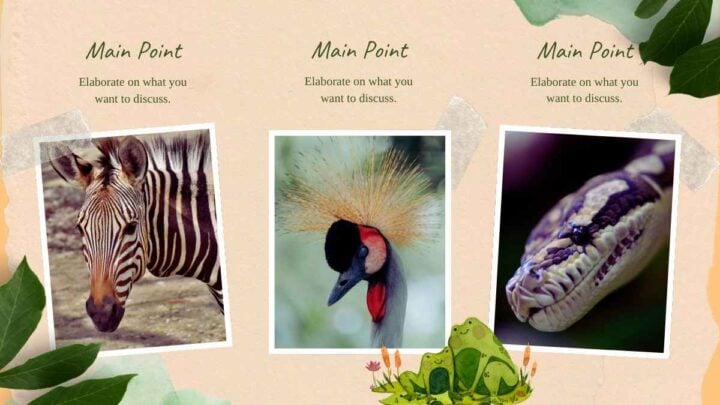 World Wildlife Day. Free PPT & Google Slides Template — SlidesCarnival