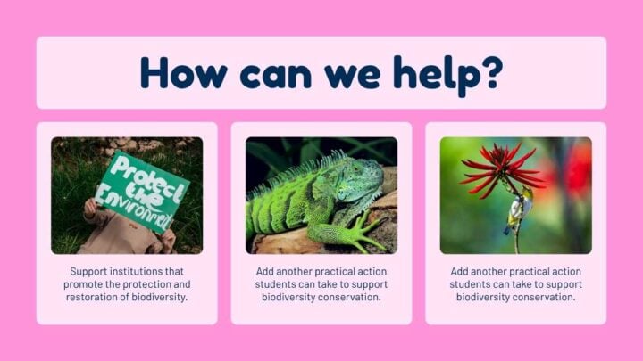 Introduction to Biodiversity Lesson for Middle School. Free PPT ...
