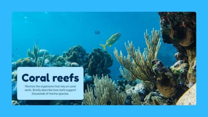 Introduction to Biodiversity Lesson for Middle School. Free PPT ...