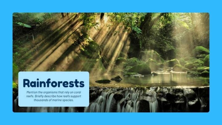 Introduction to Biodiversity Lesson for Middle School. Free PPT ...