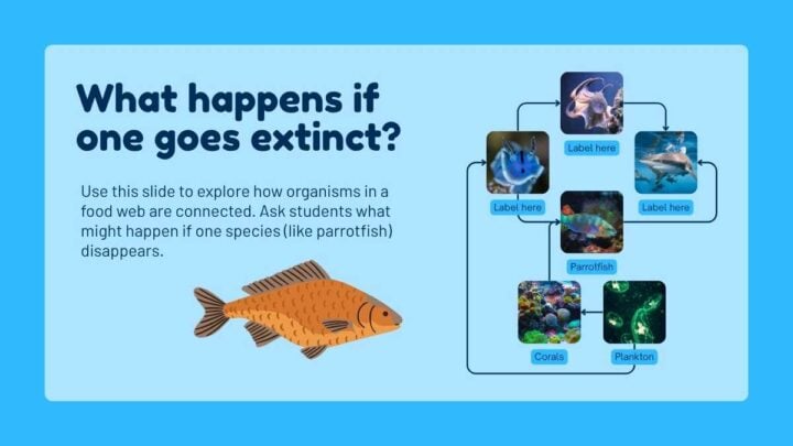 Introduction to Biodiversity Lesson for Middle School. Free PPT ...