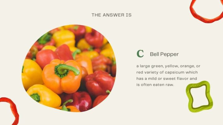 Pastel Guess the Vegetable Quiz. Free Presentation Template ...