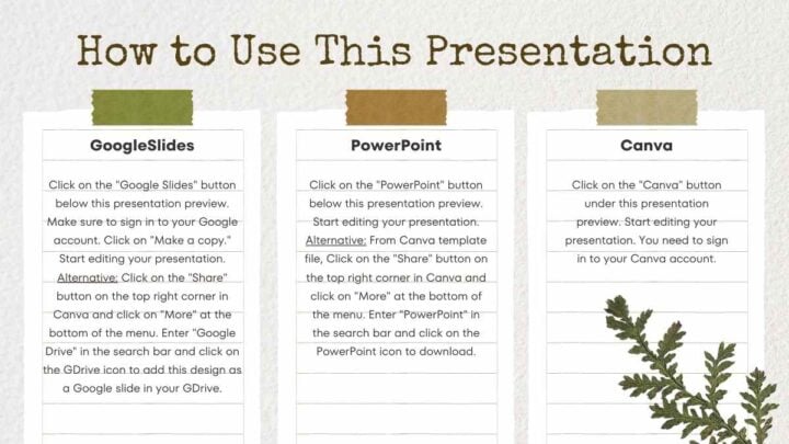 Point of View and Author's Purpose Lesson for Middle School. Free ...