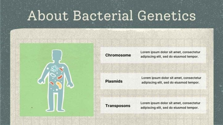 Bacterial Genetics Lecture. Free PPT & Google Slides Template ...