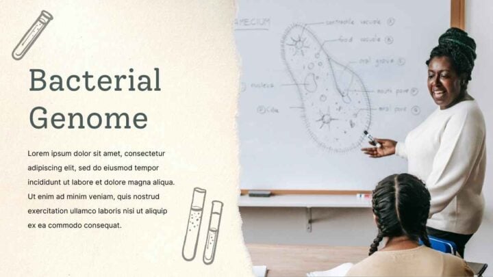 Bacterial Genetics Lecture. Free PPT & Google Slides Template ...