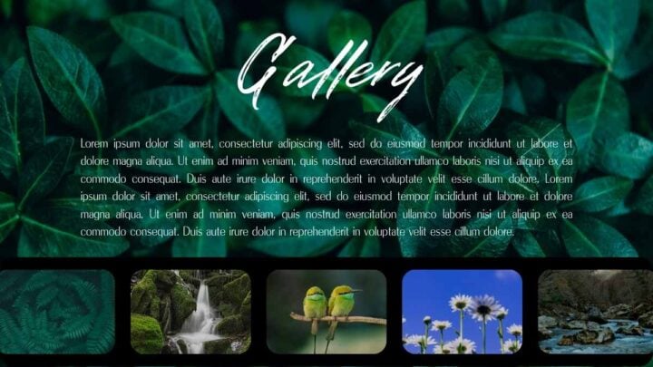 Beautiful Nature Background. Slides Template — SlidesCarnival