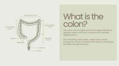 Colon Cancer. Slides Template — SlidesCarnival