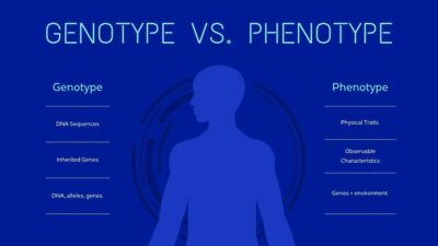 Genetics Terminology. Free Slides Template — SlidesCarnival
