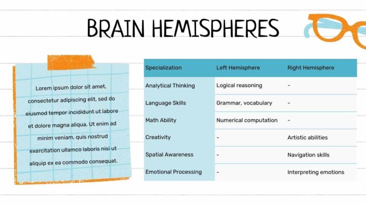 Left Brain Right Brain. Free PPT & Google Slides Template — SlidesCarnival