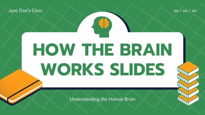How The Brain Works. Free PPT & Google Slides Template — SlidesCarnival