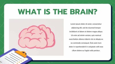 How The Brain Works. Free PPT & Google Slides Template — SlidesCarnival