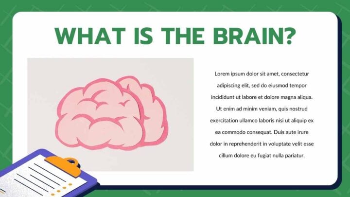 How The Brain Works. Free PPT & Google Slides Template — SlidesCarnival