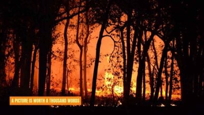 Natural Disasters: Heat Wave. Free Slides Template — SlidesCarnival