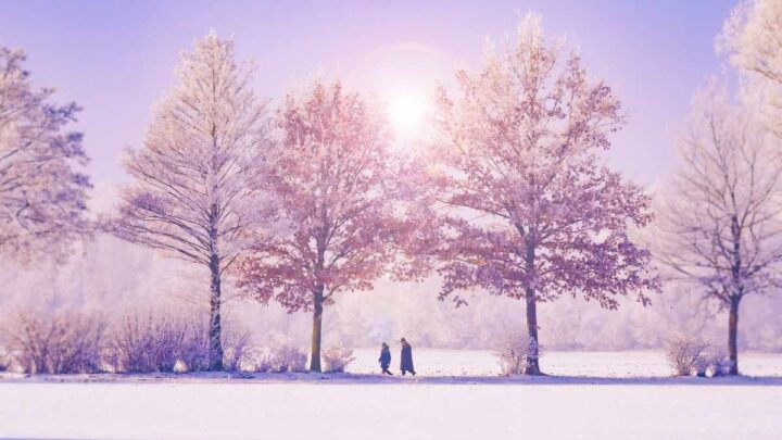 Simple Winter Background. Free Slides Template — SlidesCarnival