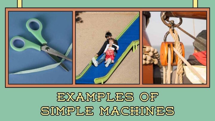 Simple and Complex Machines Science Lesson for Elementary. Free Lesson ...