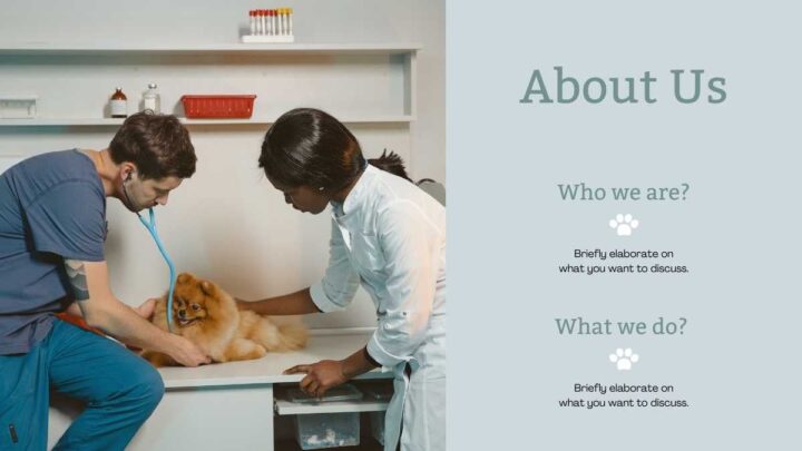 Soft Green and Pastel Illustrative Veterinarian Clinic. Free ...