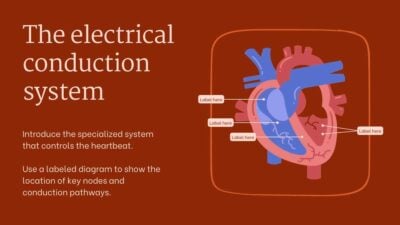 Structure and Function of the Human Heart. Free PPT & Google Slides ...