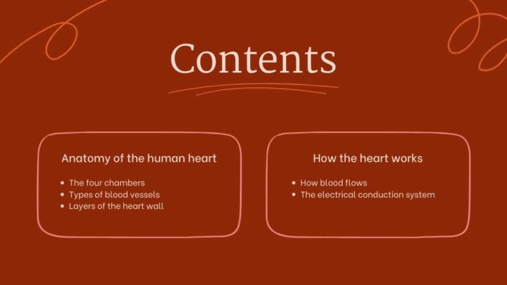 Structure and Function of the Human Heart. Free PPT & Google Slides ...