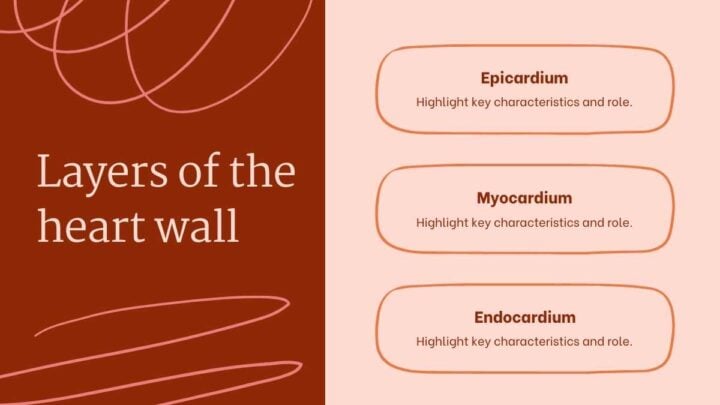 Structure and Function of the Human Heart. Free PPT & Google Slides ...