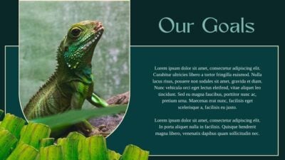 Tropical Amazon Rainforest Newsletter. Free Presentation Template ...